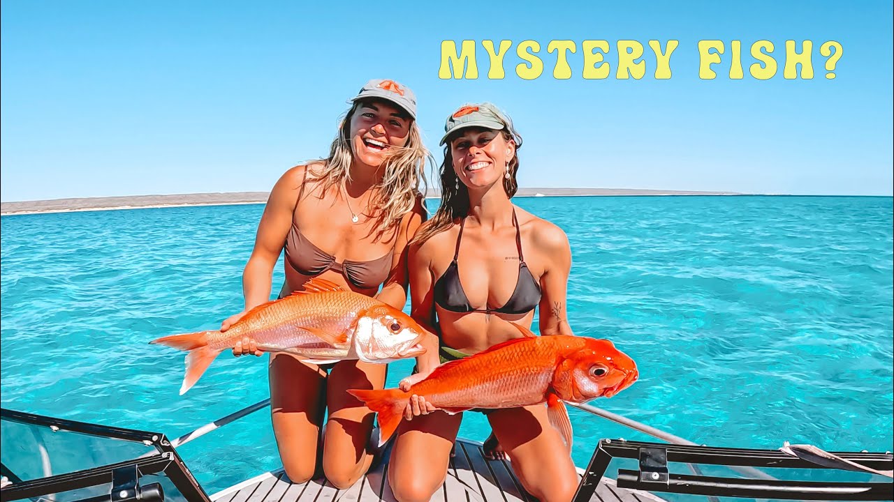 5 Awesome Reasons to Love Deep Water Fishing Adventures - Girls In Bikini Fishing